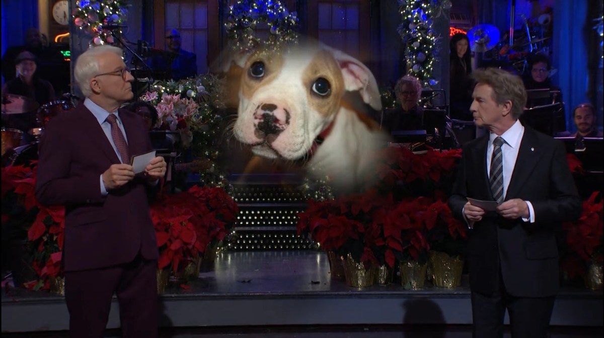 SNL48 Wrap-Up Extravaganza! - Blood’s SNL Reviews